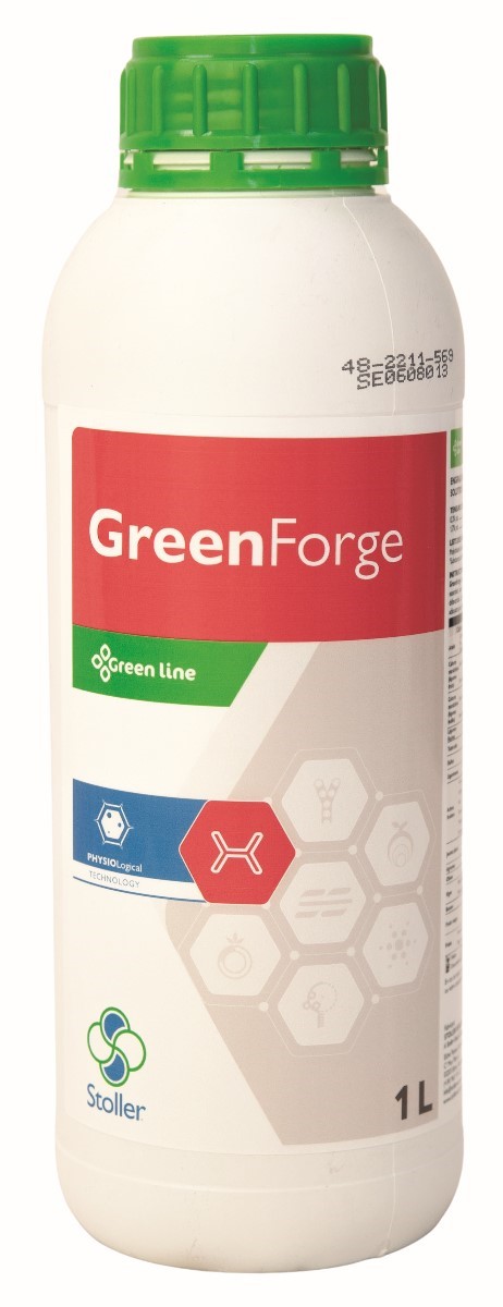 Green Forge - 1L